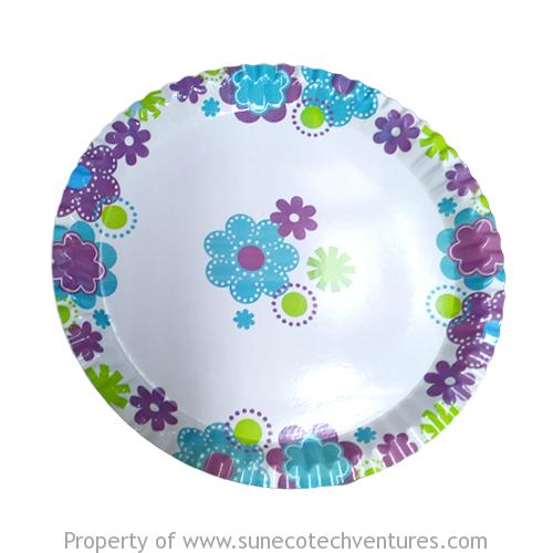Buy 13 inch premium Paper plate- 100 piece Packet