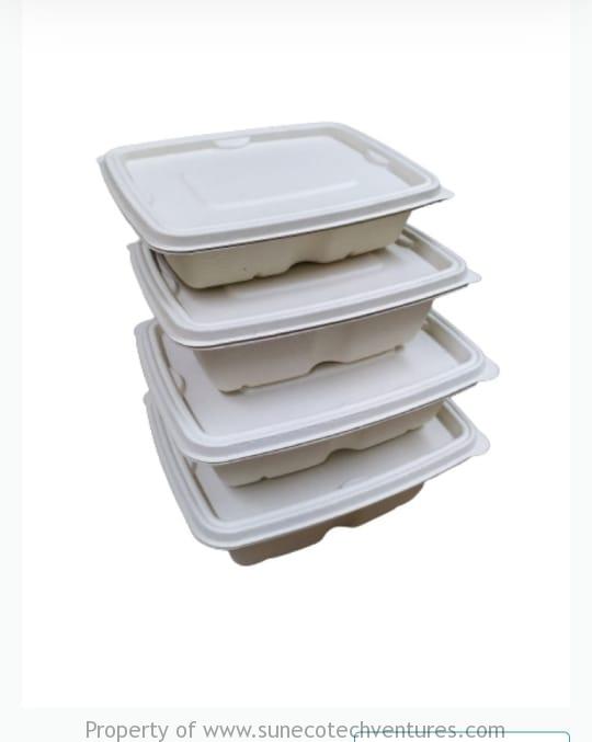 Sugarcane Food Container