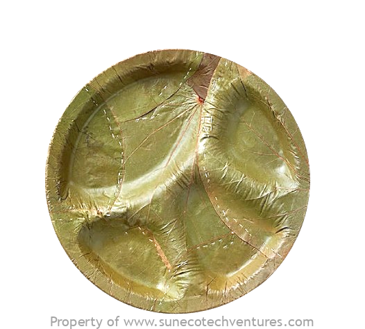 Sal Leaf 4CP Plate- 12inch